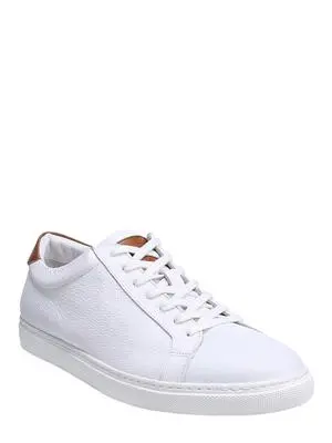 Allen Edmonds Courtside Lace Up Sneakers - White