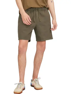 Everlane Cotton Twill Short Olive