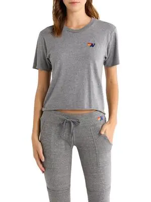 Aviator Nation Boyfriend T-shirt - Heather Grey