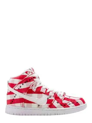 Nike Dunk High Pro SB Picnic Table Sneakers Red