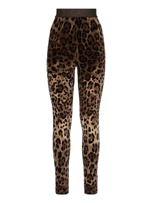DOLCE & GABBANA Leopard-print Jacquard Leggings