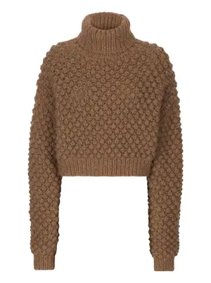 DOLCE & GABBANA Dolce & Gabbana Roll-Neck Cropped Jumper