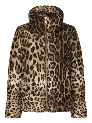 Dolce & Gabbana Leopard-print Padded Jacket - Brown