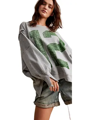 Free People We The Free Graphic Camden Pullover Grey