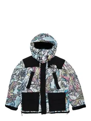 Supreme X The North Face 700-fill Down Parka - Multicolor