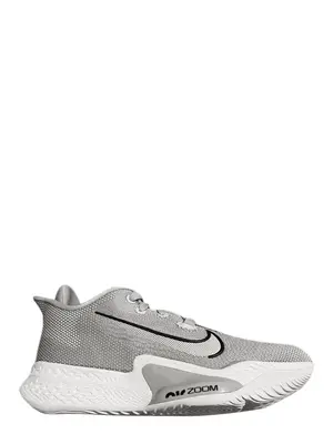 Nike Air Zoom BB NXT TB Sneakers Grey