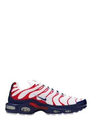 Nike Air Max Plus Usa - White