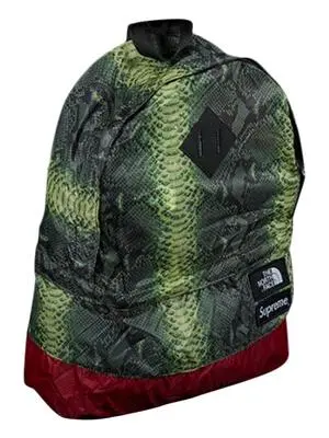 Supreme X The North Face Snakeskin Lightweight Day Pack - Green