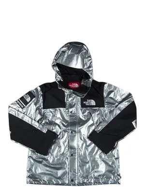 Supreme X The North Face Metallic Mountain Parka - Silver