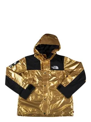 Supreme X The North Face Metallic Mountain Parka - Gold