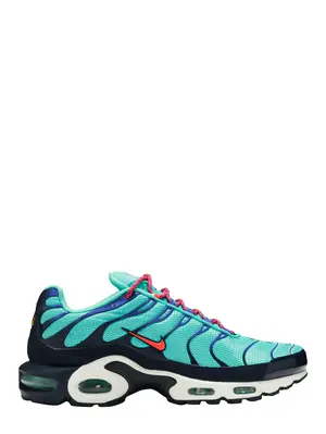Nike Max Plus Sneakers - Blue