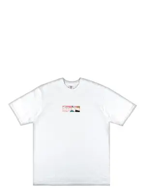 Supreme X Emilio Pucci Box Logo Tee 'white/dusty Pink' White