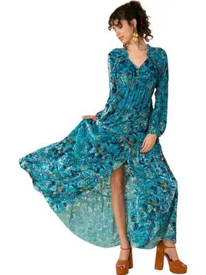 Hale Bob Lina Velvet Burnout Maxi Dress - Floral / Multicolor