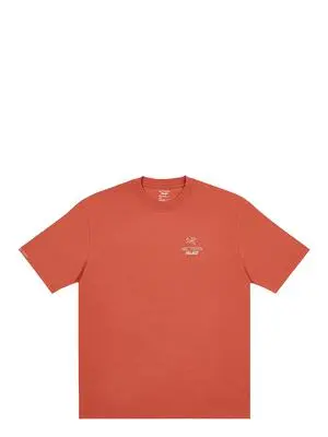 PALACE X Arc'teryx T-shirt 'ochre' Orange