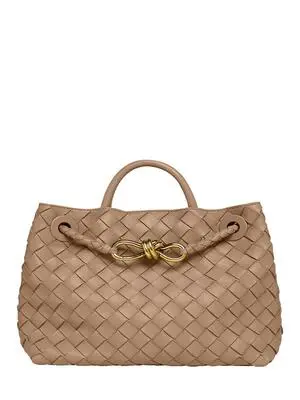 Bottega Veneta Small Andiamo Shoulder Bag Pinecone