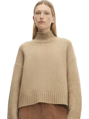 Everlane Oversized Turtleneck Sweater Brown