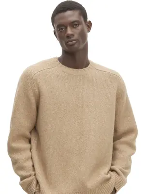 Everlane Cloud Crewneck Sweater Brown