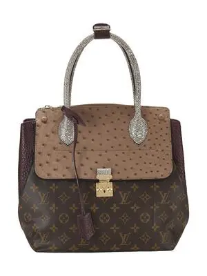 LOUIS VUITTON Monogram Canvas Majestueux - Multi