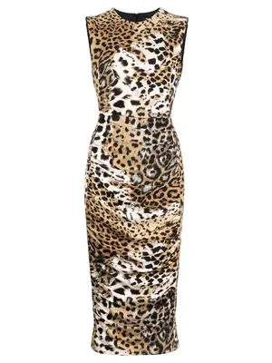 Roberto Cavalli Jaguar-print Midi Dress - Brown