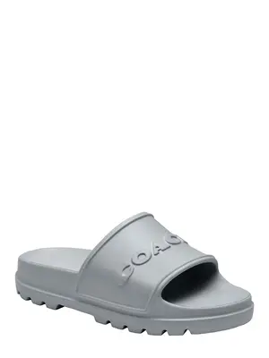 COACH Jesse Slide Grey Blue