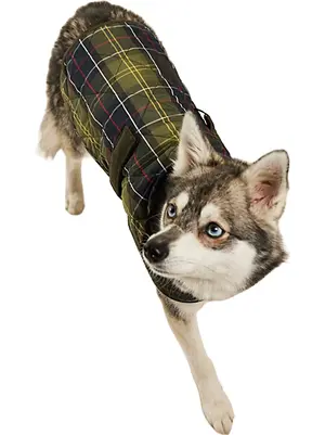 Barbour Tartan Dog Coat Classic