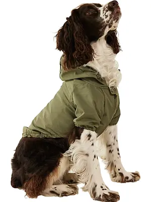 LAMBWOLF Brooklyn Packable Dog Jacket - Khaki Green