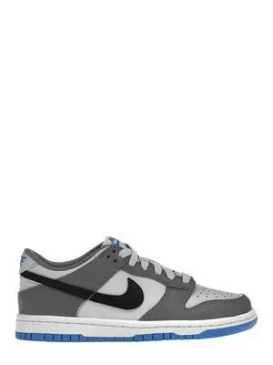 Nike Dunk Low Sneakers Cool Grey/pure Platinum/light Photo Blue