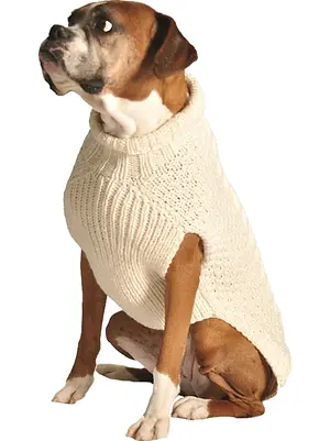 CHILLY DOG Natural Cable Knit Sweater - White