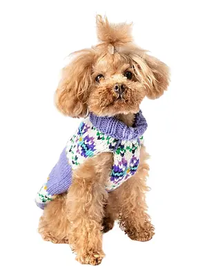 CHILLY DOG Flowers Dog Sweater - Purple