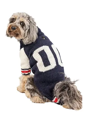 CHILLY DOG Varsity Dog Sweater - White