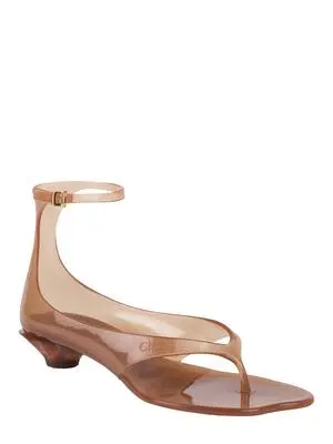 Chloé Jelly Sandals Brown