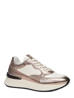 NEROGIARDINI NeroGiardini Retro Lace-Up Sneaker Open Miscellaneous