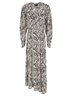 Isabel Marant Blainea Zebra-print Maxi Dress - Animal Print