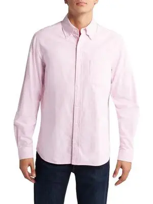 SCHOTT Button-down Oxford Shirt - Pink