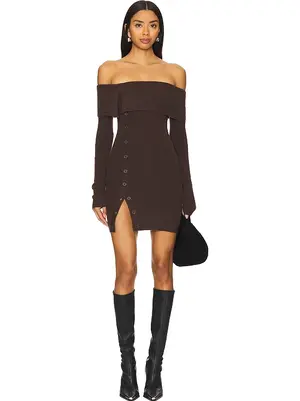 LOVERS AND FRIENDS Lexi Mini Dress - Brown