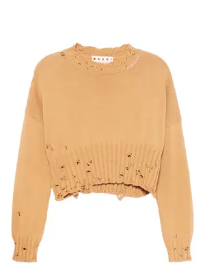 Marni Cropped Sweater - Brown