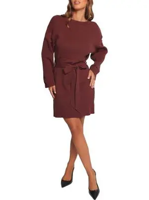 PETAL & PUP Lucca Long Sleeve Mini Sweater Dress - Chocolate Brown