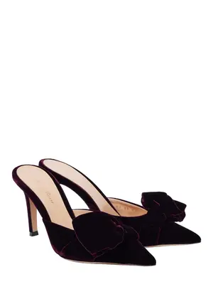 GIANVITO ROSSI 85 Bow-detail Velvet Mules - Purple