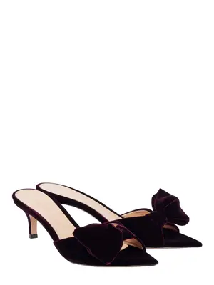 GIANVITO ROSSI 55 Bow-detail Mules - Purple