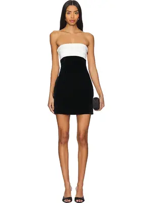 LOVERS AND FRIENDS Tara Mini Dress - Black & White