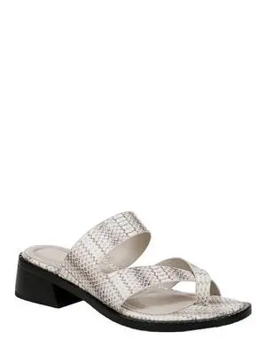 Franco Sarto SARTO By Franco Sarto Saylor Leather Slide Sandal Grey