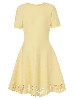 Oscar De La Renta Eyelet Jacquard Mini Dress - Yellow