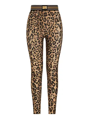 Dolce & Gabbana Leopard-print Spandex/jersey Leggings - Multicolor