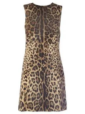 Dolce & Gabbana Dolce & Gabbana Leopard Print Mini Dress Multi