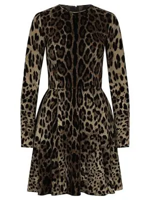 Dolce & Gabbana Dolce & Gabbana Leopard-Print Mini Dress Multi