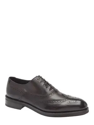 FERRAGAMO Baltimora Wingtip Oxford - T. Moro
