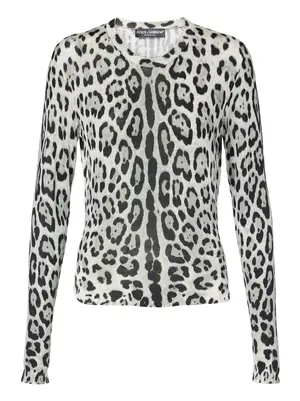 Dolce & Gabbana Animal-print Silk Sweater - Multicoloured