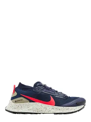 Nike Pegasus Trail 3 Gore-tex - Blue