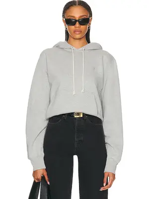 Saint Laurent Hoodie Champion Sweatshirt - Gris Chine