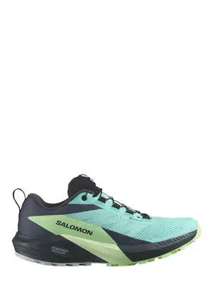 SALOMON Sense Ride 5 GORE-TEX Sneakers Blue